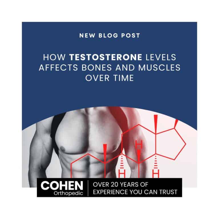 How Testosterone Levels Affect Bones and Muscles Over Time - Bone Health